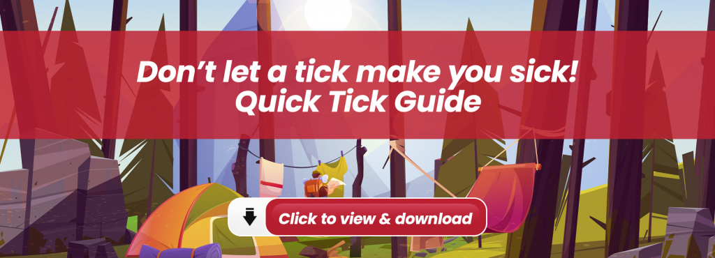 Tick Identification Guide | Learn How to Identify Ticks All of Kinds
