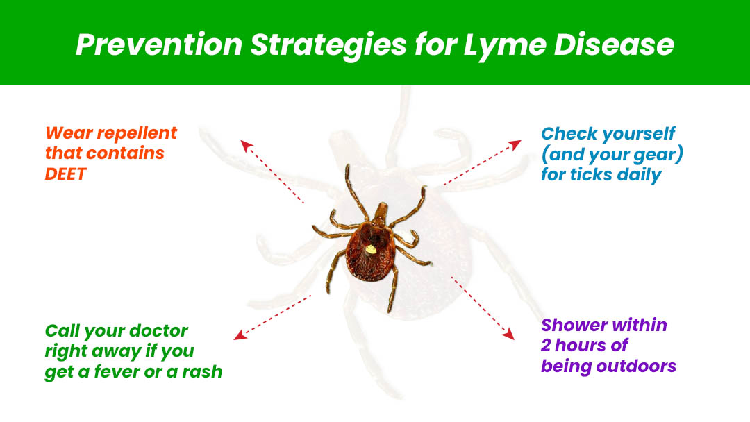 Lyme Disease - Making Tick Removal Safe and Easy!